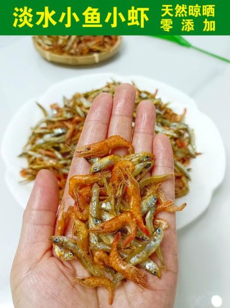 小鱼小虾吃什么食物_如何科学投喂-第2张图片-山城妙识 小鱼小虾吃什么食物_如何科学投喂-第2张图片-山城妙识