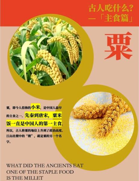 菽是指什么作物_菽的别名有哪些-第2张图片-山城妙识 菽是指什么作物_菽的别名有哪些-第2张图片-山城妙识