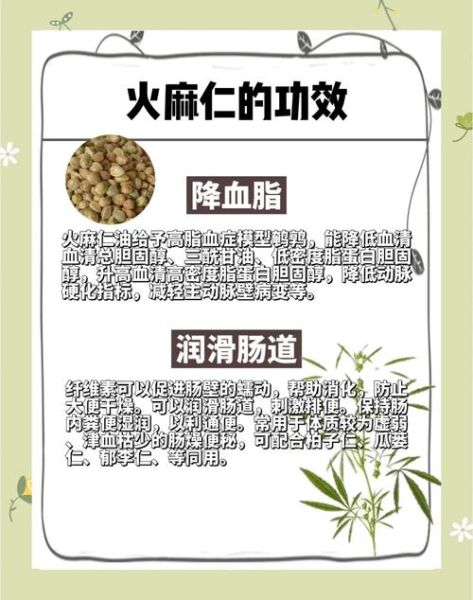 胡麻仁和火麻仁的区别_哪个更适合润肠通便-第1张图片-山城妙识 胡麻仁和火麻仁的区别_哪个更适合润肠通便-第1张图片-山城妙识