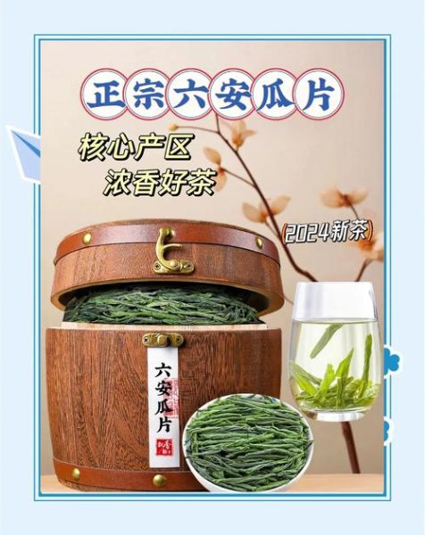 六安瓜片茶叶图片_如何辨别真假-第2张图片-山城妙识 六安瓜片茶叶图片_如何辨别真假-第2张图片-山城妙识