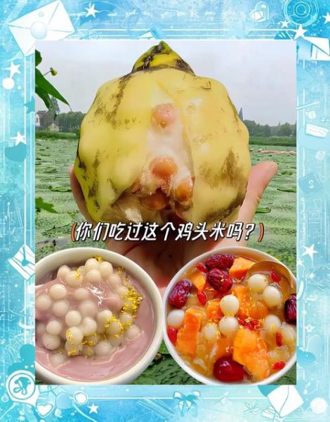 苏州鸡头米多少钱一斤_鸡头米怎么吃最好-第2张图片-山城妙识 苏州鸡头米多少钱一斤_鸡头米怎么吃最好-第2张图片-山城妙识