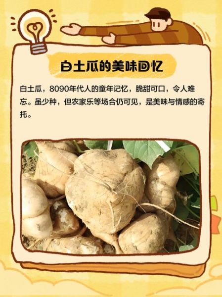 白瓜怎么吃_白瓜的功效与作用-第3张图片-山城妙识