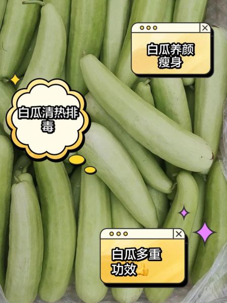 白瓜怎么吃_白瓜的功效与作用-第1张图片-山城妙识