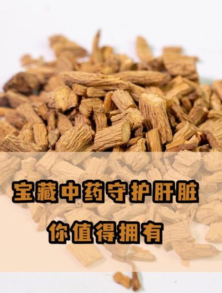 养肝护肝最有效的中药_什么中药养肝护肝最好-第1张图片-山城妙识 养肝护肝最有效的中药_什么中药养肝护肝最好-第1张图片-山城妙识