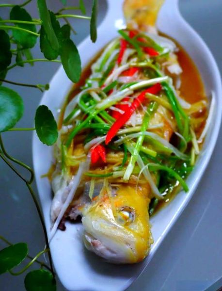 金鳟鱼怎么做好吃_金鳟鱼清蒸还是香煎-第1张图片-山城妙识 金鳟鱼怎么做好吃_金鳟鱼清蒸还是香煎-第1张图片-山城妙识