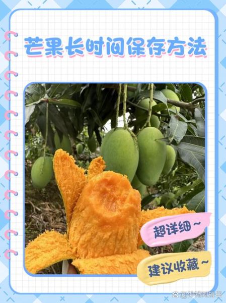 芒果怎么催熟_芒果怎么保存-第2张图片-山城妙识