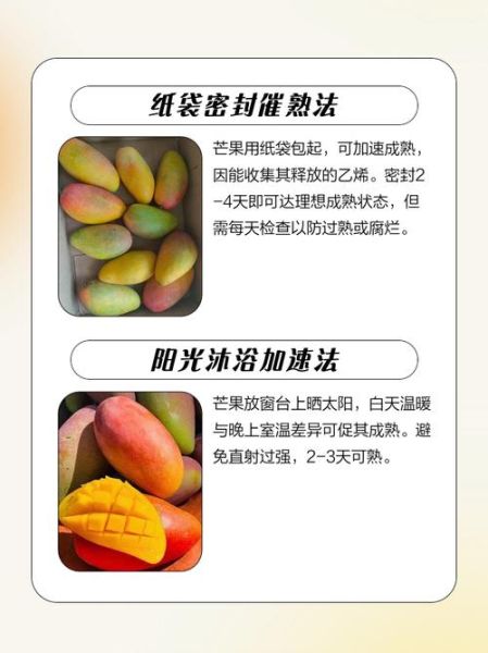 芒果怎么催熟_芒果怎么保存-第3张图片-山城妙识