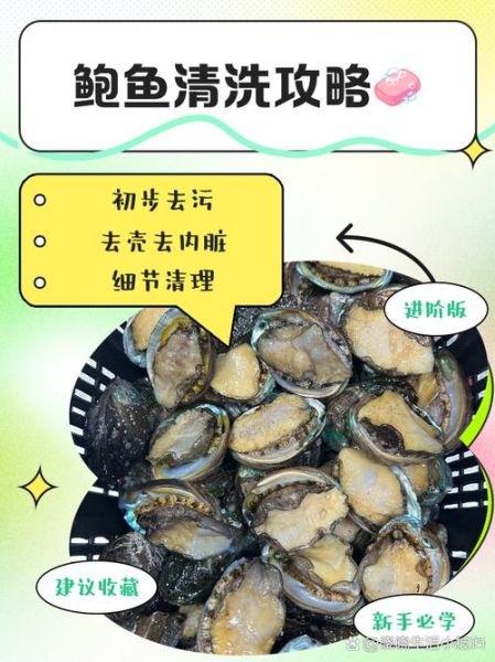 鲍鱼怎么处理清洗内脏_鲍鱼内脏去除方法-第1张图片-山城妙识