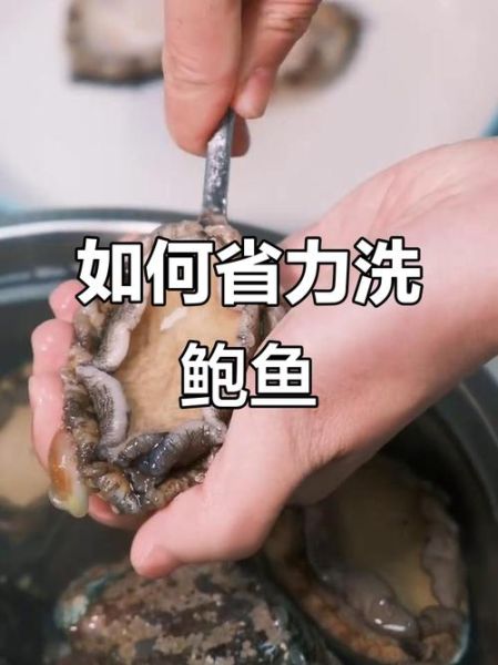 鲍鱼怎么处理清洗内脏_鲍鱼内脏去除方法-第3张图片-山城妙识