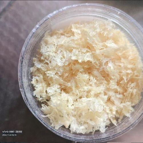 马来西亚燕窝多少钱一斤_正宗燕盏价格区间-第1张图片-山城妙识 马来西亚燕窝多少钱一斤_正宗燕盏价格区间-第1张图片-山城妙识