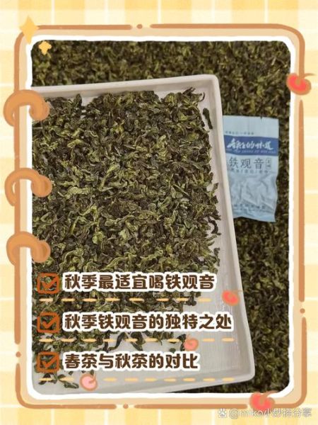 铁观音适合什么季节喝_铁观音什么季节喝最好-第1张图片-山城妙识 铁观音适合什么季节喝_铁观音什么季节喝最好-第1张图片-山城妙识