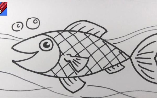 鱼图片大全大图简笔画_怎么画好看-第3张图片-山城妙识 鱼图片大全大图简笔画_怎么画好看-第3张图片-山城妙识