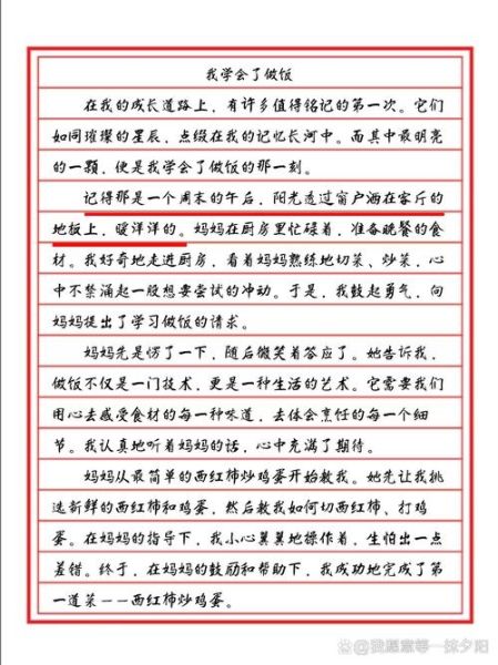 学做饭作文怎么写_学做饭作文开头怎么写-第2张图片-山城妙识