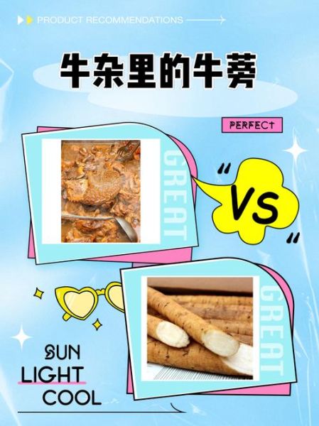 新鲜牛蒡怎么吃_一次吃多少克-第3张图片-山城妙识 新鲜牛蒡怎么吃_一次吃多少克-第3张图片-山城妙识