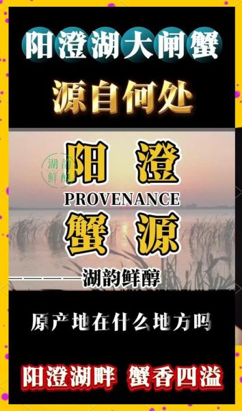 大闸蟹有哪些品牌_阳澄湖大闸蟹哪家好-第3张图片-山城妙识 大闸蟹有哪些品牌_阳澄湖大闸蟹哪家好-第3张图片-山城妙识