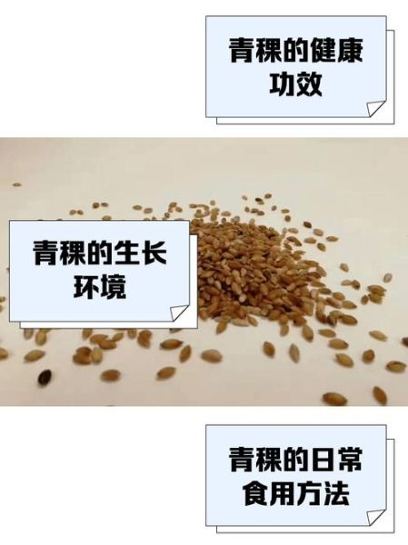 青稞是什么东西_青稞的功效与作用-第3张图片-山城妙识 青稞是什么东西_青稞的功效与作用-第3张图片-山城妙识