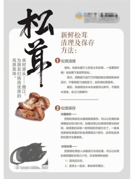 新鲜松茸怎么保存_松茸可以放冰箱吗-第2张图片-山城妙识 新鲜松茸怎么保存_松茸可以放冰箱吗-第2张图片-山城妙识