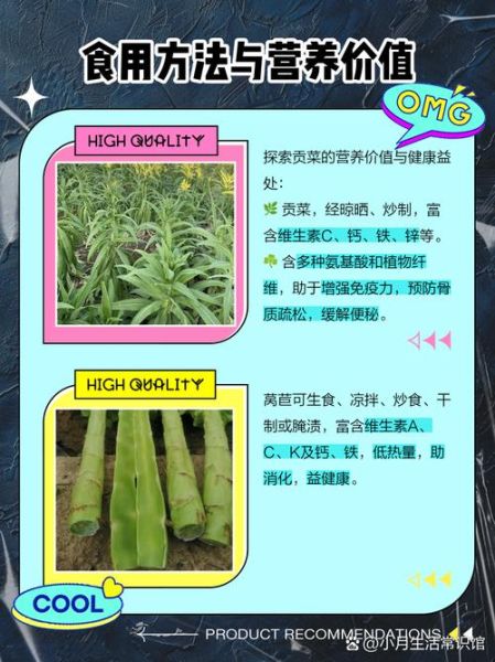 贡菜新鲜的长什么样子_贡菜和莴笋怎么区分-第3张图片-山城妙识 贡菜新鲜的长什么样子_贡菜和莴笋怎么区分-第3张图片-山城妙识