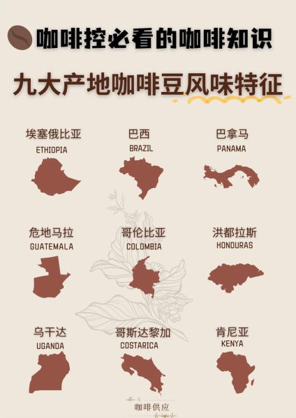 咖啡豆种类有哪些_不同咖啡口味特点-第3张图片-山城妙识 咖啡豆种类有哪些_不同咖啡口味特点-第3张图片-山城妙识