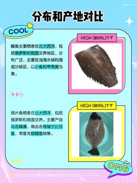 鸦片鱼眼睛为什么不对称_鸦片鱼眼睛一大一小原因-第2张图片-山城妙识 鸦片鱼眼睛为什么不对称_鸦片鱼眼睛一大一小原因-第2张图片-山城妙识