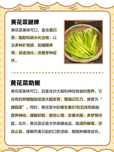 鲜黄花菜的营养价值_鲜黄花菜怎么吃不中毒-第3张图片-山城妙识