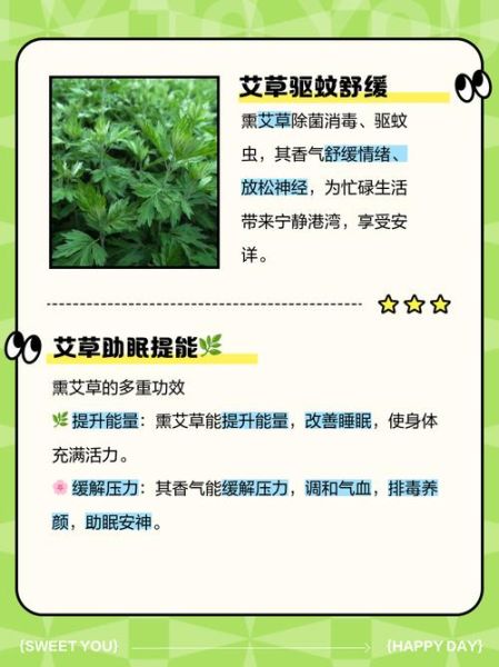 艾草点燃的功效与作用_艾草熏房间的正确方法-第3张图片-山城妙识