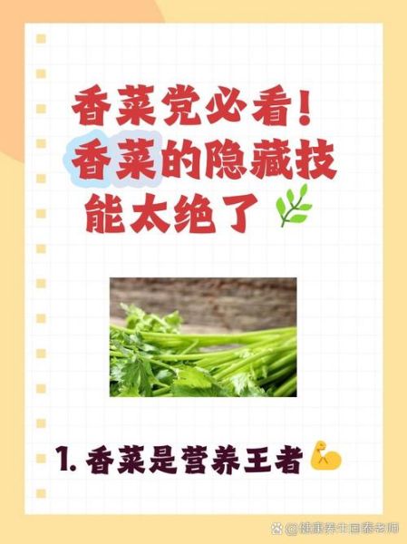 香菜的功效与作用及禁忌症_什么人不能吃香菜-第3张图片-山城妙识