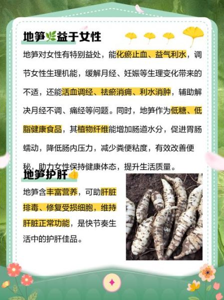 地笋叶的功效与作用_地笋叶怎么吃效果最好-第1张图片-山城妙识