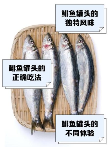 鲱鱼罐头怎么吃_鲱鱼罐头怎么打开不臭-第1张图片-山城妙识