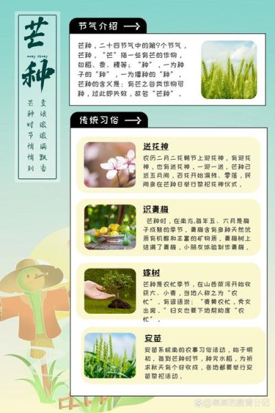 芒种是几月几日_芒种节气含义-第3张图片-山城妙识 芒种是几月几日_芒种节气含义-第3张图片-山城妙识