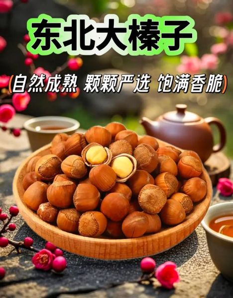 榛子怎么读音_榛子拼音声调怎么写-第1张图片-山城妙识 榛子怎么读音_榛子拼音声调怎么写-第1张图片-山城妙识