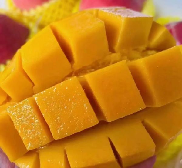 生芒果怎么吃最好吃法_生芒果怎么吃不涩-第2张图片-山城妙识