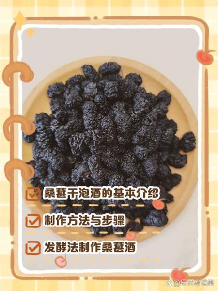 桑葚干500克可泡几斤酒_泡酒比例是多少-第1张图片-山城妙识