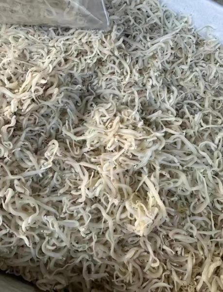 小银鱼怎么做好吃_家常小银鱼做法大全-第2张图片-山城妙识 小银鱼怎么做好吃_家常小银鱼做法大全-第2张图片-山城妙识