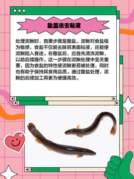 泥鳅做法要开肚吗_泥鳅怎么清洗才干净-第3张图片-山城妙识 泥鳅做法要开肚吗_泥鳅怎么清洗才干净-第3张图片-山城妙识