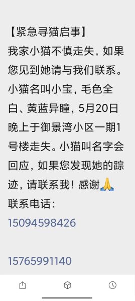 玛格丽特丢失的猫_如何找回-第1张图片-山城妙识 玛格丽特丢失的猫_如何找回-第1张图片-山城妙识