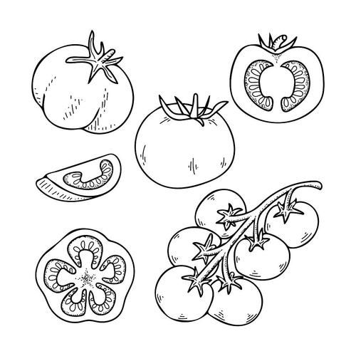 西红柿简笔画怎么画_西红柿图片简笔画教程-第1张图片-山城妙识 西红柿简笔画怎么画_西红柿图片简笔画教程-第1张图片-山城妙识