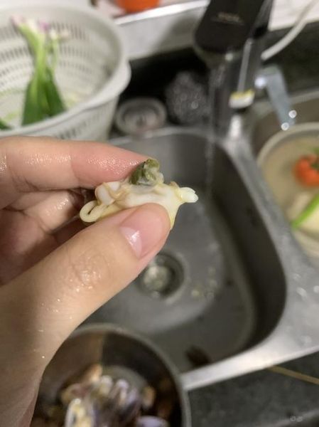 花甲怎么去内脏最快_花甲内脏清理技巧-第1张图片-山城妙识 花甲怎么去内脏最快_花甲内脏清理技巧-第1张图片-山城妙识