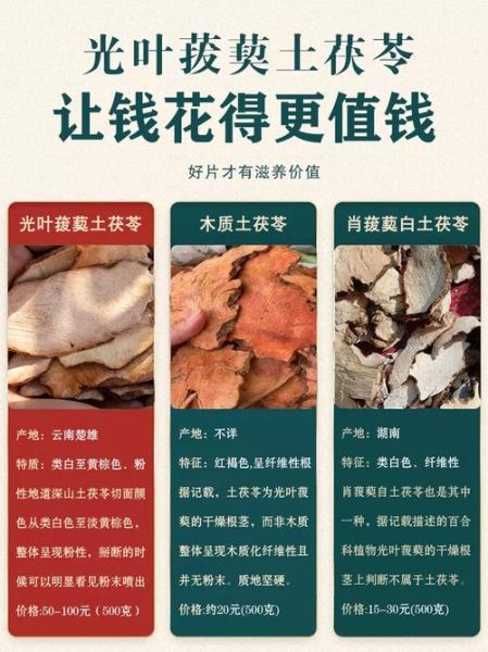 土茯苓和茯苓一样吗_功效区别与使用禁忌-第2张图片-山城妙识 土茯苓和茯苓一样吗_功效区别与使用禁忌-第2张图片-山城妙识