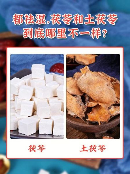 土茯苓和茯苓一样吗_功效区别与使用禁忌-第1张图片-山城妙识 土茯苓和茯苓一样吗_功效区别与使用禁忌-第1张图片-山城妙识