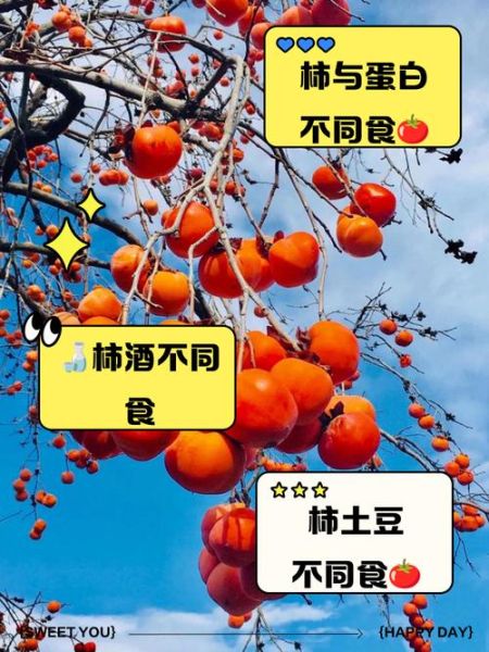 冻柿子不能和什么一起吃_吃完多久能喝牛奶-第2张图片-山城妙识