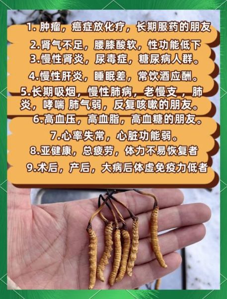 吃冬虫夏草有什么功效_冬虫夏草适合什么人吃-第3张图片-山城妙识