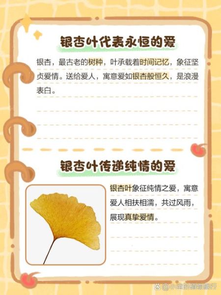 银杏叶寓意是什么_银杏叶象征爱情吗-第2张图片-山城妙识