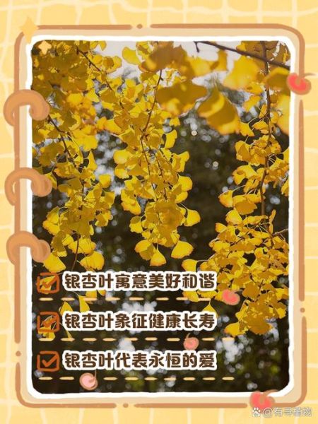银杏叶寓意是什么_银杏叶象征爱情吗-第3张图片-山城妙识