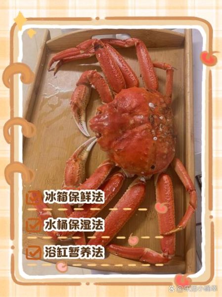 螃蟹怎么储存才能新鲜_活蟹冷藏还是冷冻-第2张图片-山城妙识 螃蟹怎么储存才能新鲜_活蟹冷藏还是冷冻-第2张图片-山城妙识
