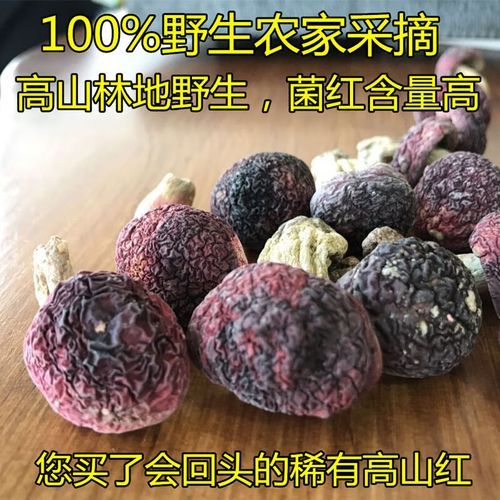 红菇可以人工种植吗_红菇人工种植技术难点-第3张图片-山城妙识
