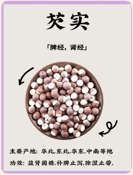 芡实怎么吃去湿_芡实去湿气的正确吃法-第1张图片-山城妙识 芡实怎么吃去湿_芡实去湿气的正确吃法-第1张图片-山城妙识