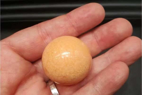 黄螺多少钱一斤_黄螺价格行情-第3张图片-山城妙识