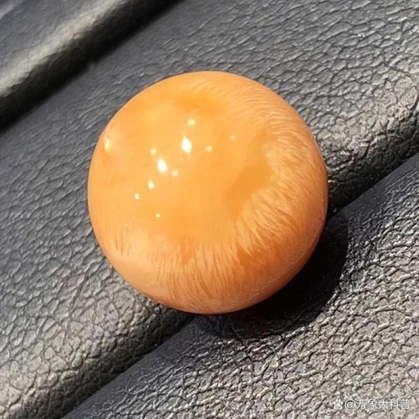 黄螺多少钱一斤_黄螺价格行情-第2张图片-山城妙识