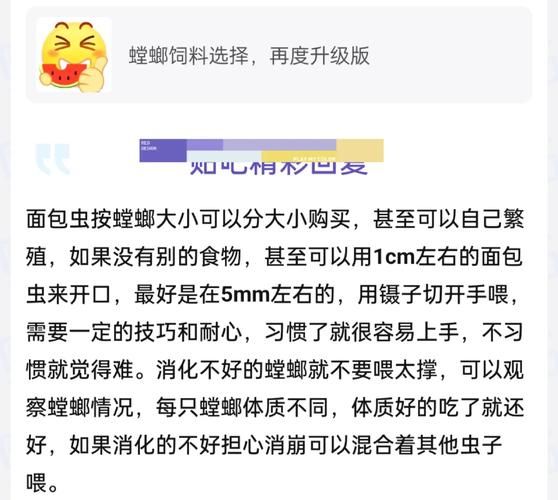 面包虫怎么养_面包虫养殖技术要点-第3张图片-山城妙识 面包虫怎么养_面包虫养殖技术要点-第3张图片-山城妙识